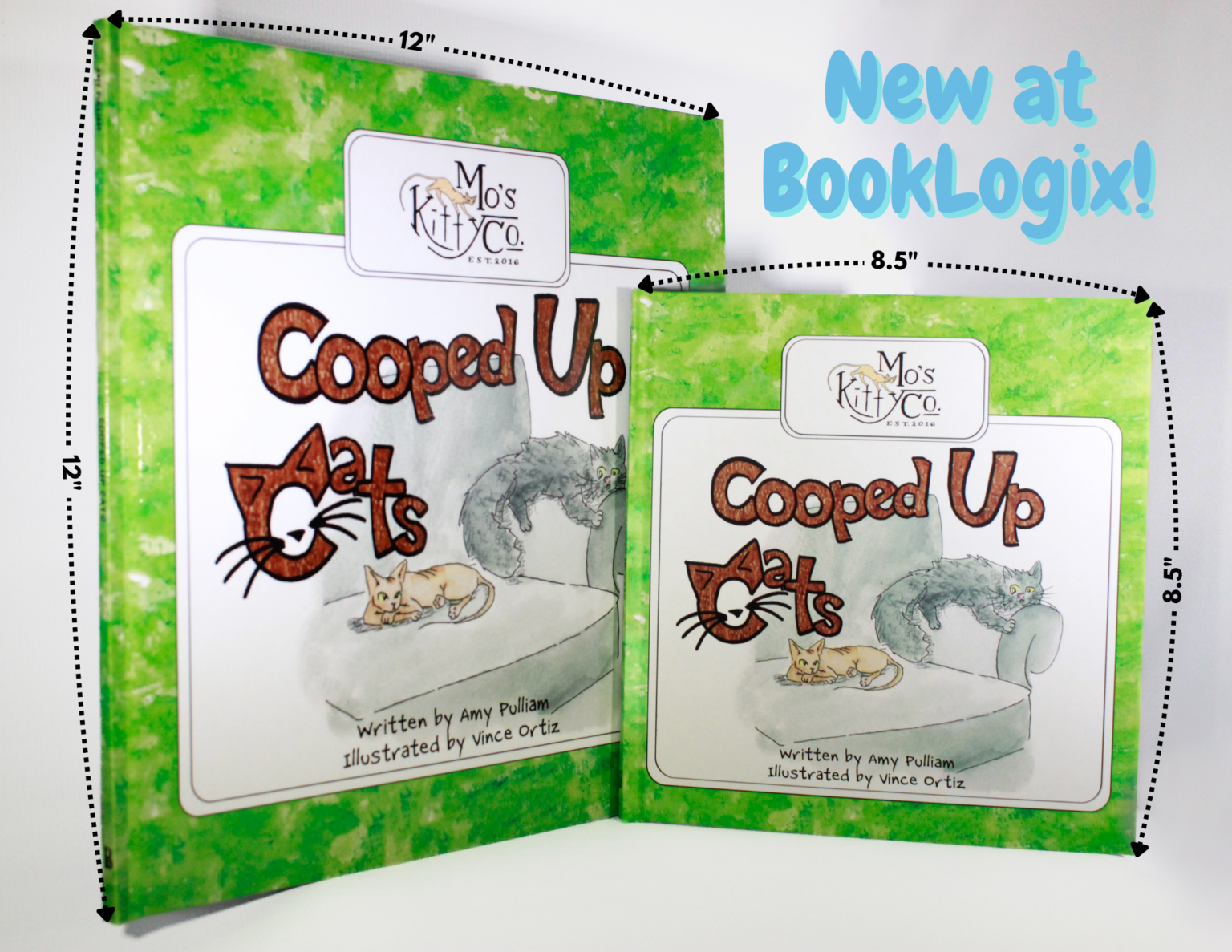 Expert Self Publishing Assistance For Your Manuscript